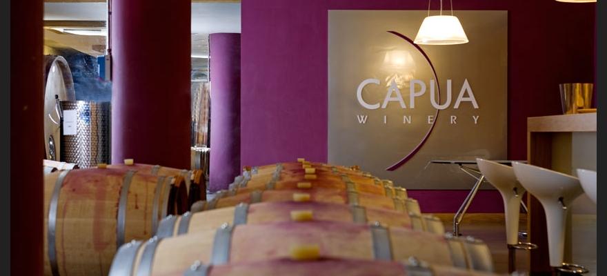 Capua Winery - Vendita vino online